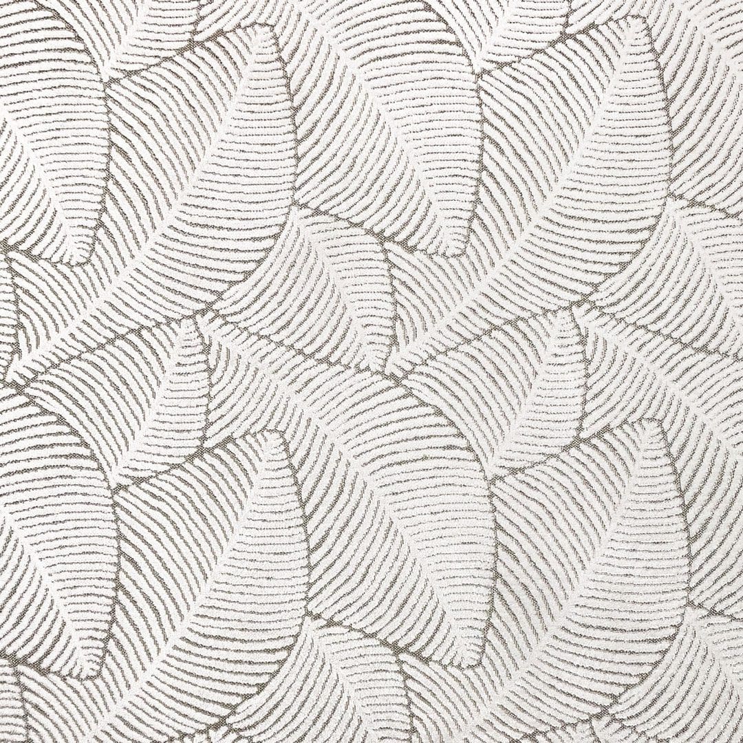 Transitional • Walfab